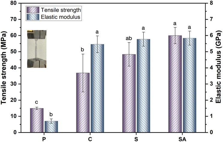 Static and dynamic mechanical properties of 3D-printed clear resin with embedded orthodontic ...
