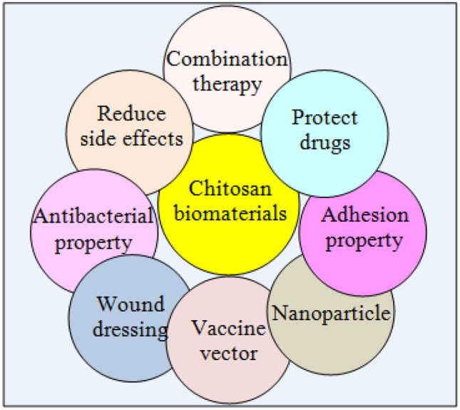 Recent advances of chitosan-based polymers in biomedical applications and environmental ...