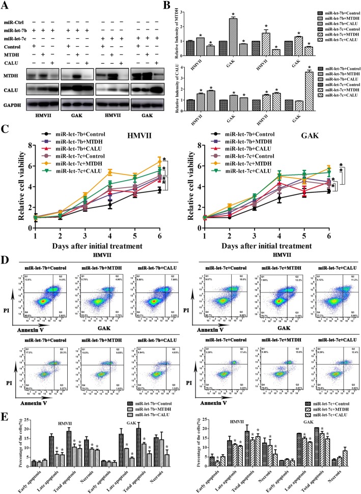 miR-let-7b and miR-let-7c suppress tumourigenesis of human mucosal ...
