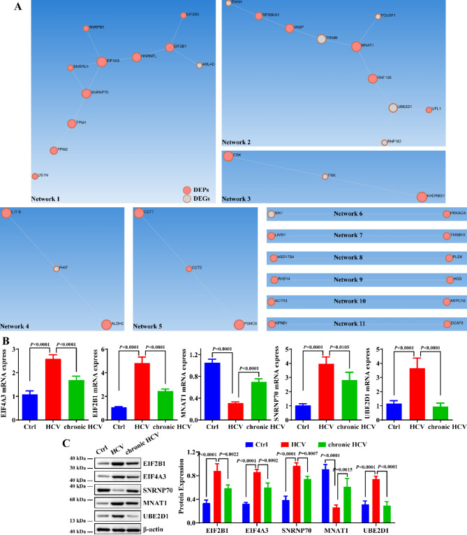 Integrative analysis of serum proteomics and transcriptomics in ...