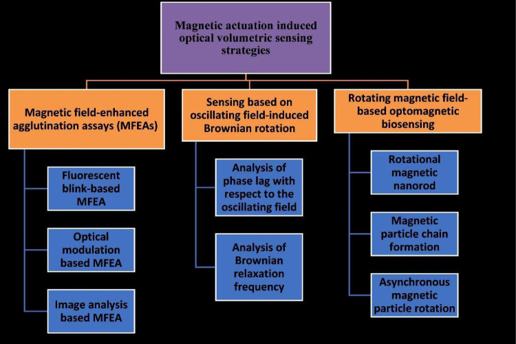 Sensing the Future—Frontiers in Biosensors: Exploring Classifications, Principles, and Recent ...