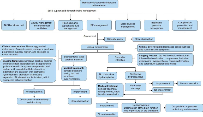 Chinese Stroke Association guidelines for clinical management of ...