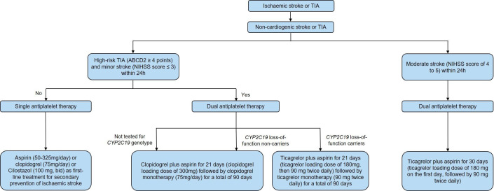 Chinese Stroke Association guidelines for clinical management of ...