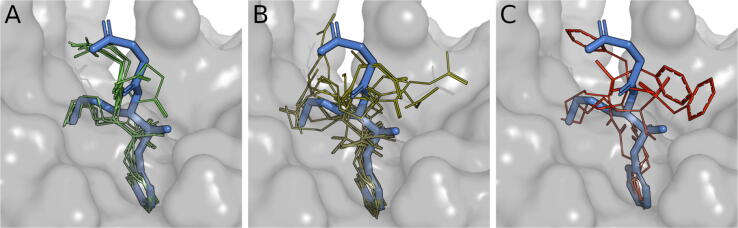 SCORCH: Improving structure-based virtual screening with machine learning classifiers, data ...