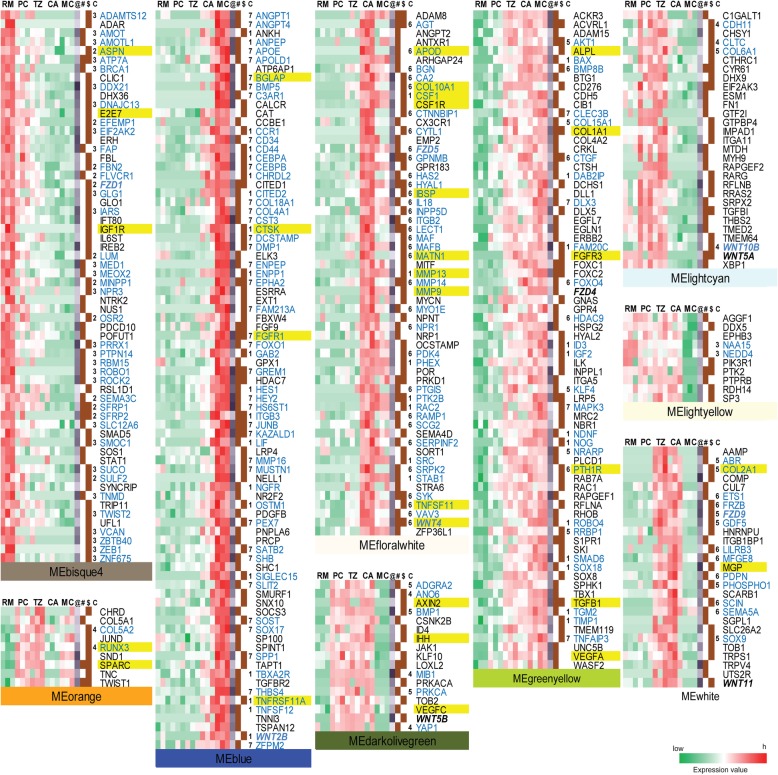 Transcriptomic analysis of different tissue layers in antler growth ...