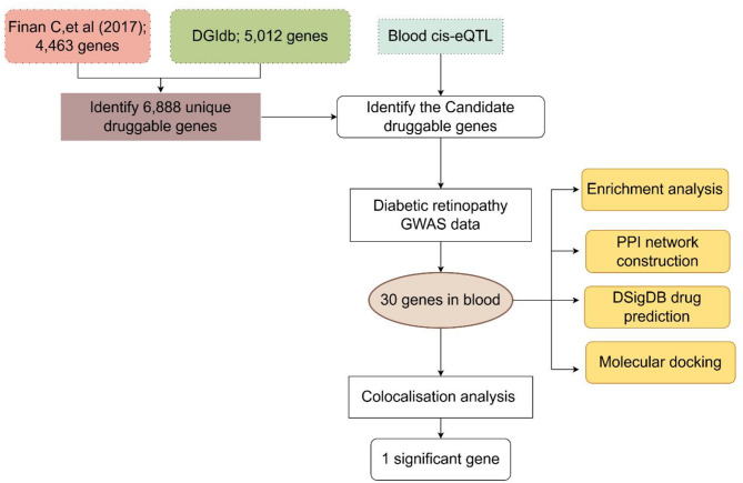 Identifying therapeutic target genes for diabetic retinopathy using ...