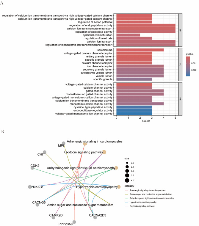 Identifying therapeutic target genes for diabetic retinopathy using ...