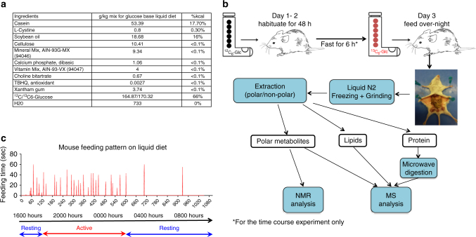 Noninvasive liquid diet delivery of stable isotopes into mouse models for deep metabolic network ...