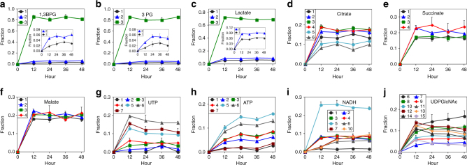Noninvasive liquid diet delivery of stable isotopes into mouse models for deep metabolic network ...