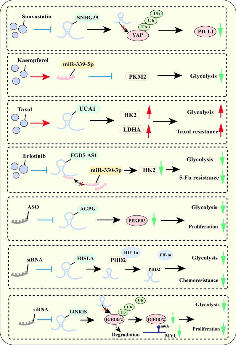 The roles and molecular mechanisms of non-coding RNA in cancer metabolic reprogramming - PMC