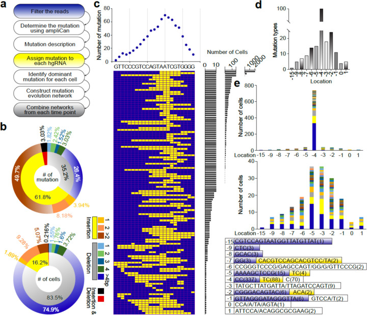 Charting Single Cell Lineage Dynamics and Mutation Networks via Homing CRISPR - PMC