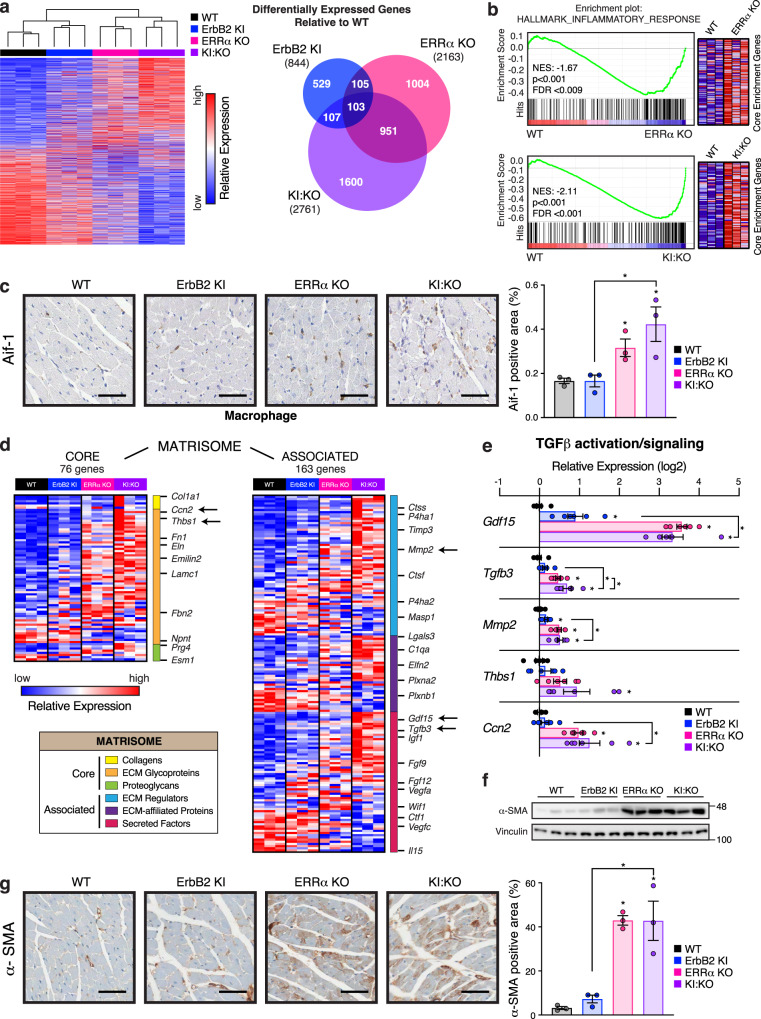 Integrated multi-omics analysis of adverse cardiac remodeling and ...