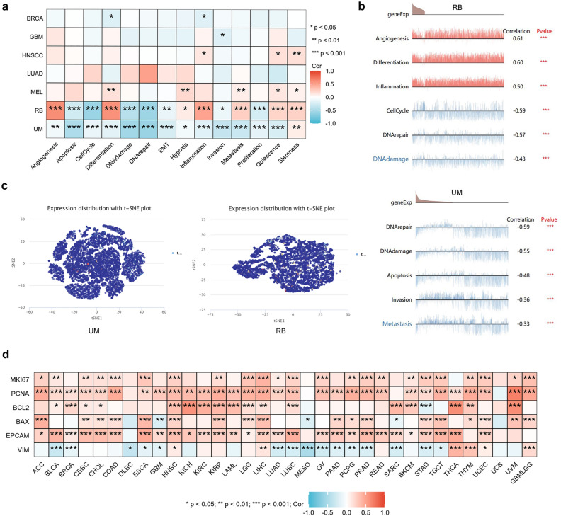 Comprehensive analysis of the potential biological significance of cuproptosis-related gene ...