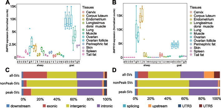Structural variant landscapes reveal convergent signatures of evolution in sheep and goats - PMC