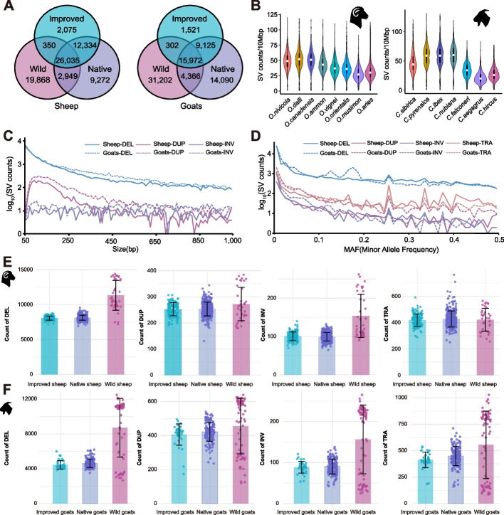 Structural variant landscapes reveal convergent signatures of evolution in sheep and goats - PMC