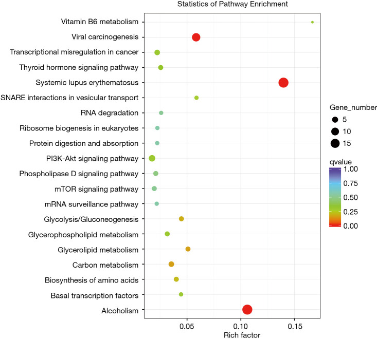 Long non-coding RNA expression profiles in peripheral blood mononuclear cells of patients with ...