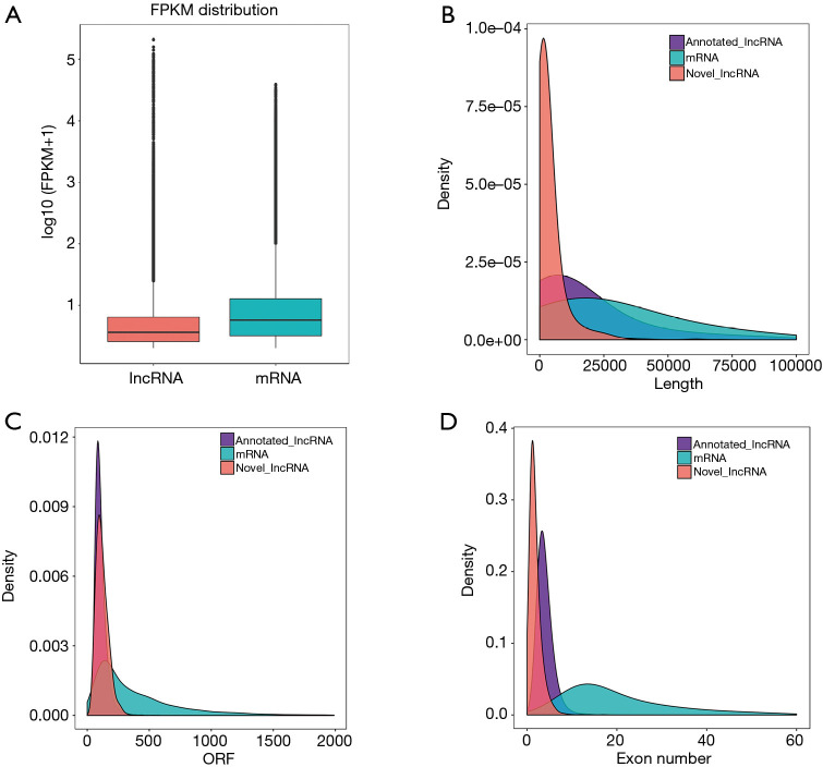 Long non-coding RNA expression profiles in peripheral blood mononuclear cells of patients with ...