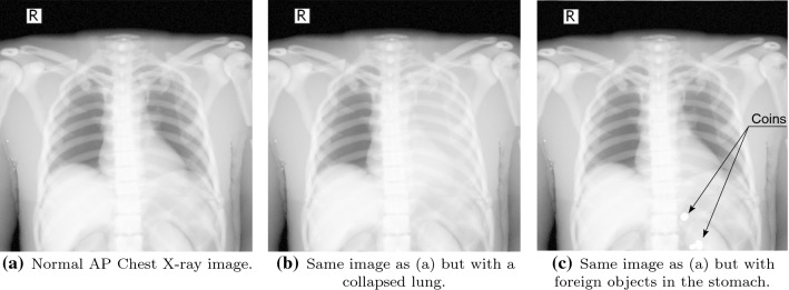 Interactive teaching environment for diagnostic radiography with real ...