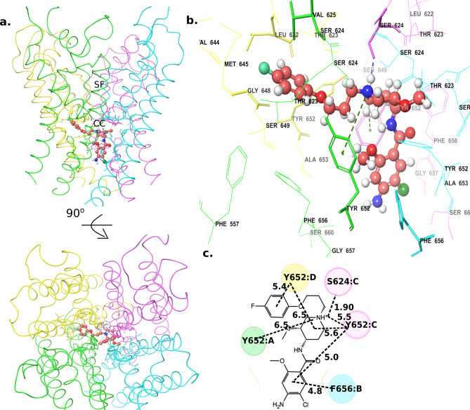A structure-based computational workflow to predict liability and binding modes of small ...