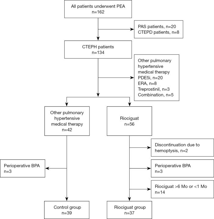 Riociguat as bridging therapy to pulmonary endarterectomy in patients ...