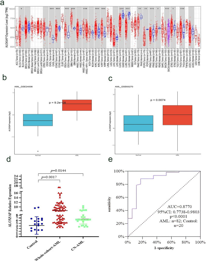 ALOX5AP is a new prognostic indicator in acute myeloid leukemia - PMC