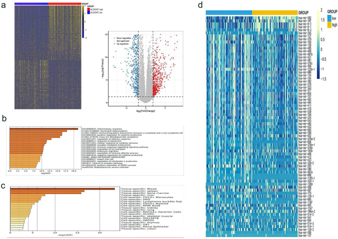 ALOX5AP is a new prognostic indicator in acute myeloid leukemia - PMC