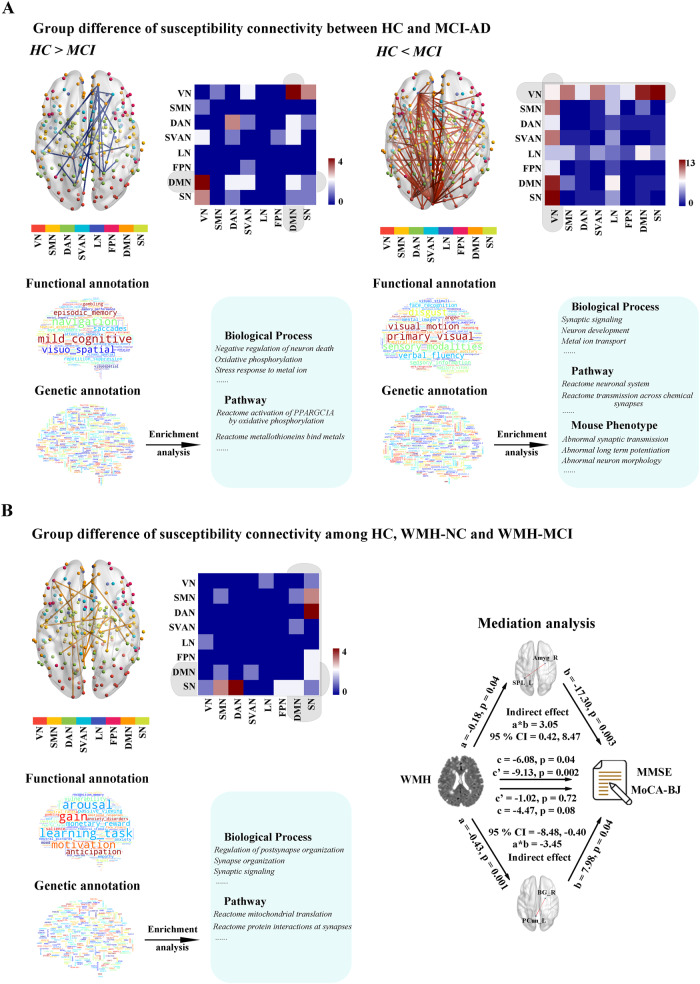 The characteristic patterns of individual brain susceptibility networks underlie Alzheimer’s ...