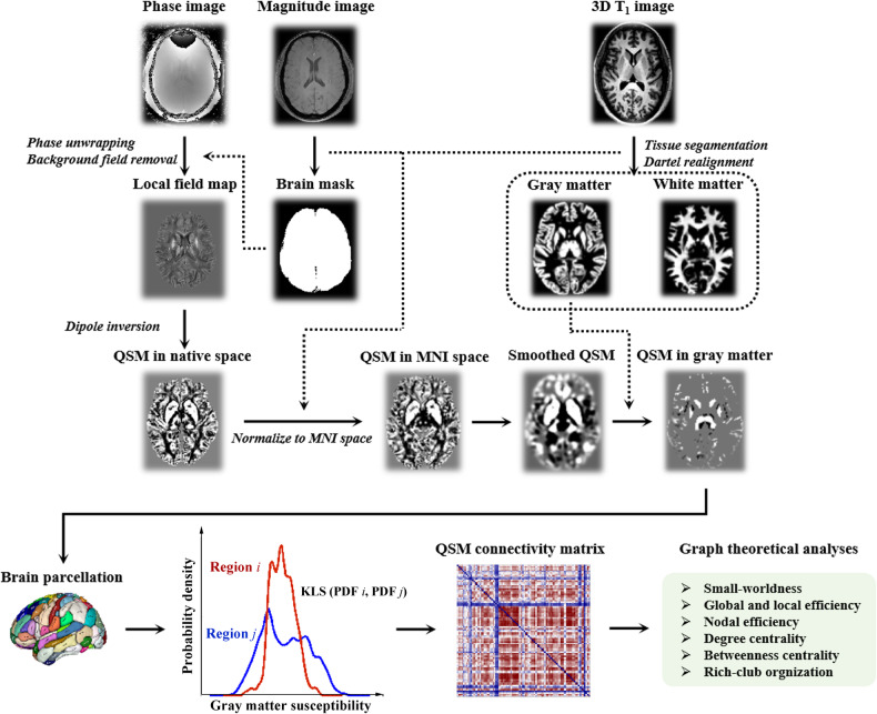 The characteristic patterns of individual brain susceptibility networks underlie Alzheimer’s ...