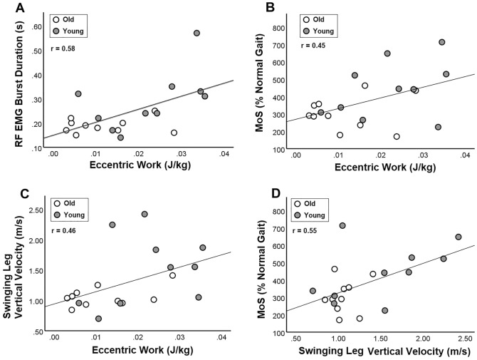 Age-related differences in lower limb muscle activation patterns and balance control strategies ...