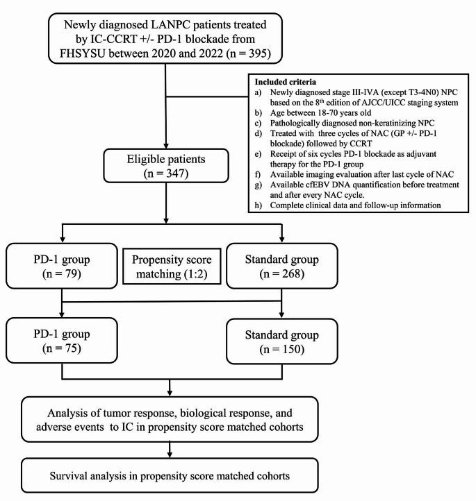 The efficacy and safety of adding PD-1 blockade to induction chemotherapy and concurrent ...