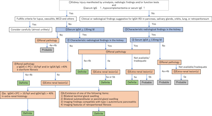 Validation of the diagnostic criteria for IgG4-related kidney disease ...