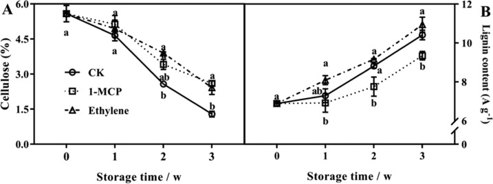 Effects of 1-Methylcyclopropene (1-MCP) and Ethylene on Postharvest Lignification of Common ...