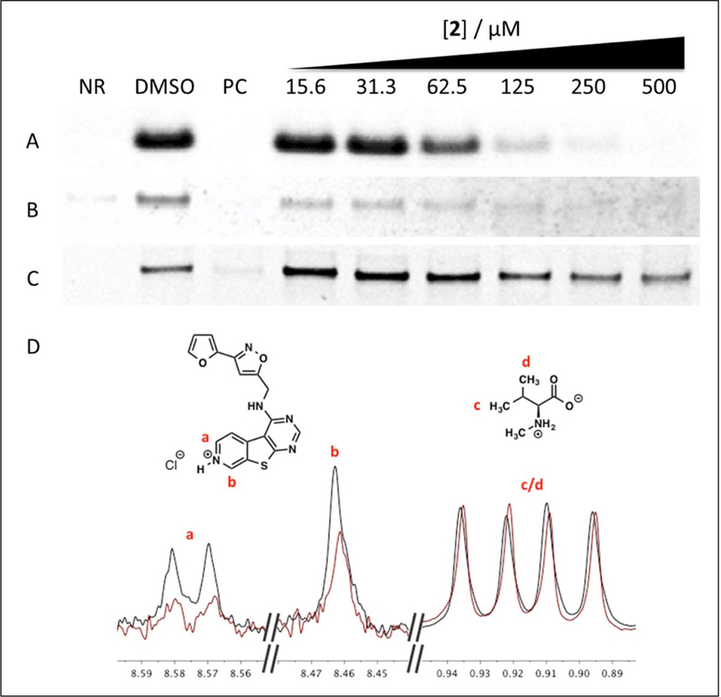 A Small-Molecule Microarray Approach for the Identification of E2 ...