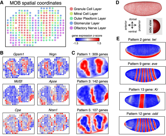 Characterizing spatial gene expression heterogeneity in spatially resolved single-cell ...