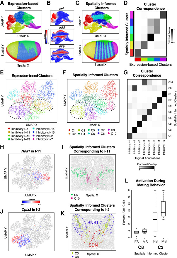 Characterizing spatial gene expression heterogeneity in spatially resolved single-cell ...