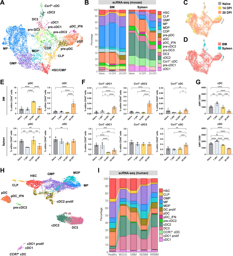 A single-cell transcriptomic map of the murine and human multiple myeloma immune ...