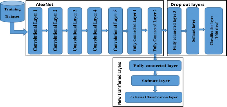 Classification of Skin Lesions into Seven Classes Using Transfer ...