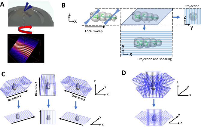 Projective oblique plane structured illumination microscopy - PMC