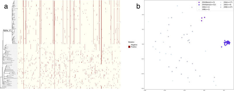 Multimodal data fusion using sparse canonical correlation analysis and cooperative learning: a ...