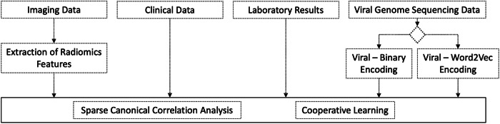 Multimodal data fusion using sparse canonical correlation analysis and cooperative learning: a ...
