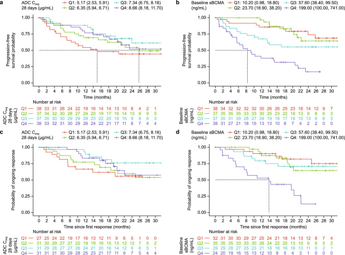 Belantamab Mafodotin with Pomalidomide and Dexamethasone in Relapsed/Refractory Multiple Myeloma ...