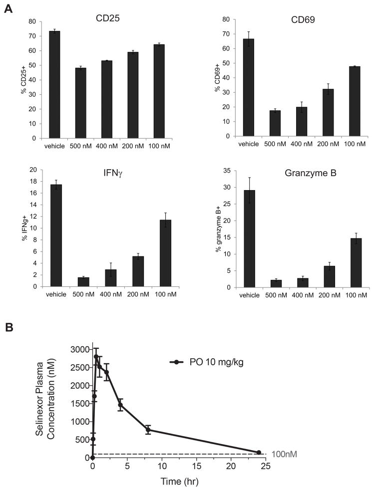 Clinical dosing regimen of selinexor maintains normal immune homeostasis and T cell effector ...