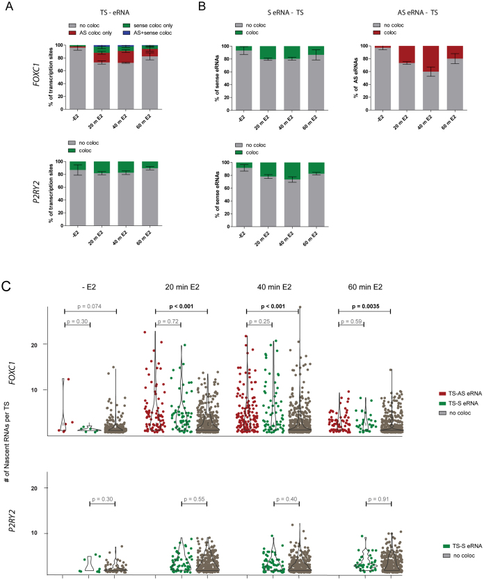 Single-cell profiling reveals that eRNA accumulation at enhancer ... Single-cell profiling reveals that eRNA accumulation at enhancer ...