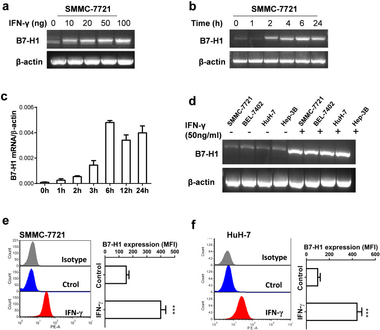 Cross-talk between TNF-α and IFN-γ signaling in induction of B7-H1 ...