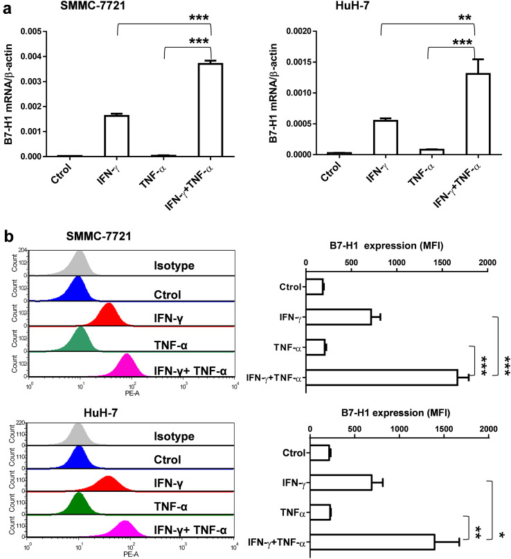 Cross-talk between TNF-α and IFN-γ signaling in induction of B7-H1 ...