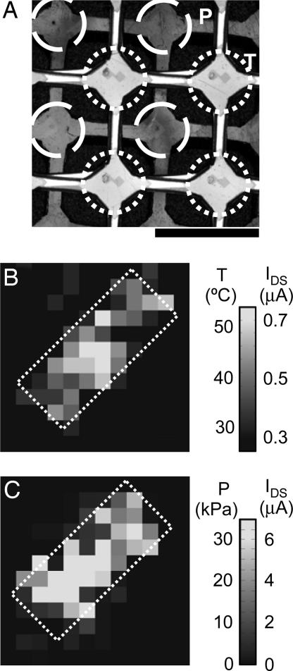 Fig. 5.