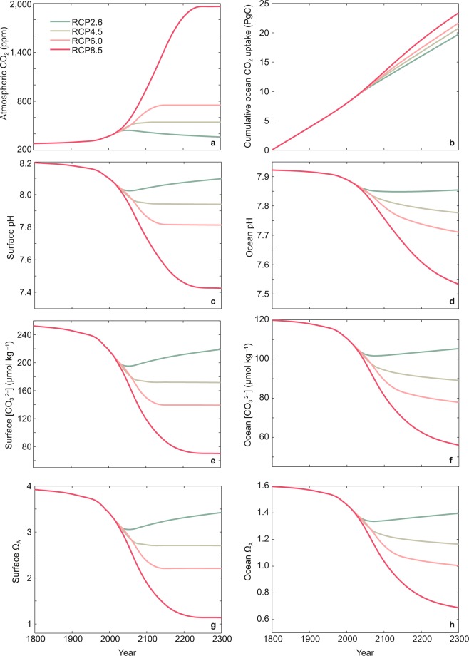 Simulated CO2-induced ocean acidification for ocean in the East China ...