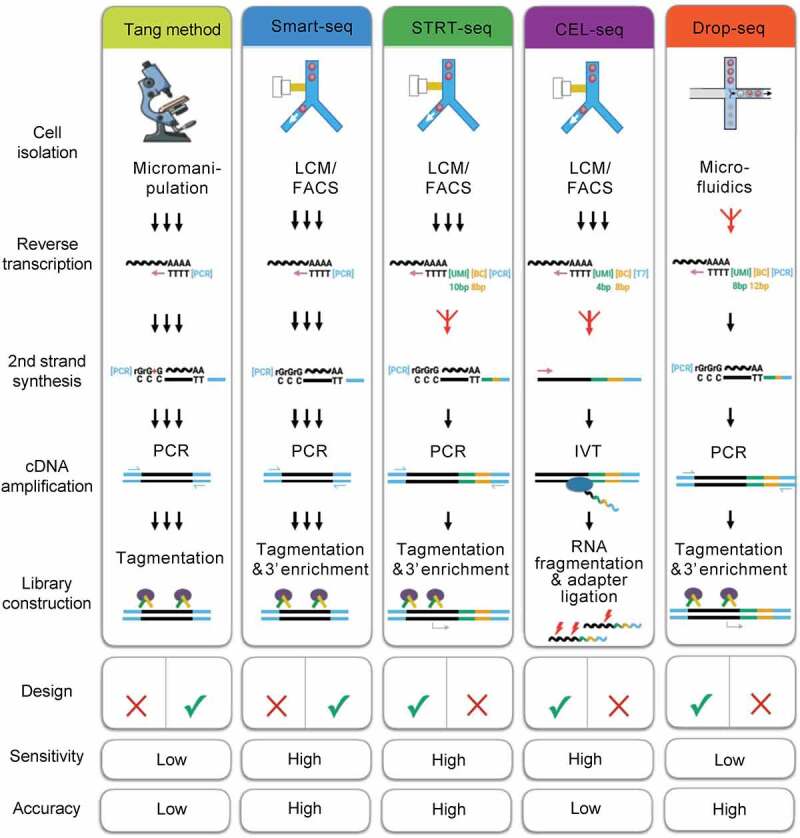 Deciphering cell–cell interactions and communication in the tumor ... Deciphering cell–cell interactions and communication in the tumor ...