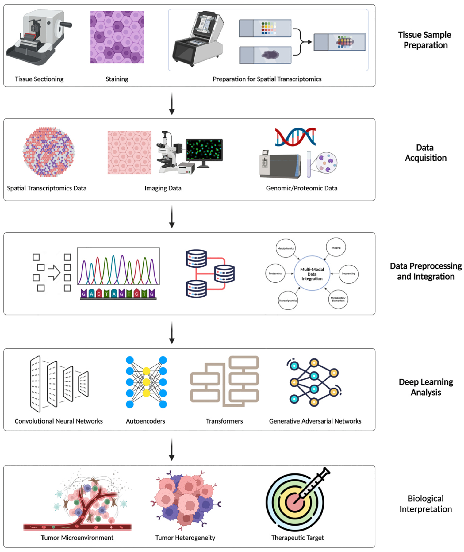 Deep learning-based multimodal spatial transcriptomics analysis for cancer - PMC