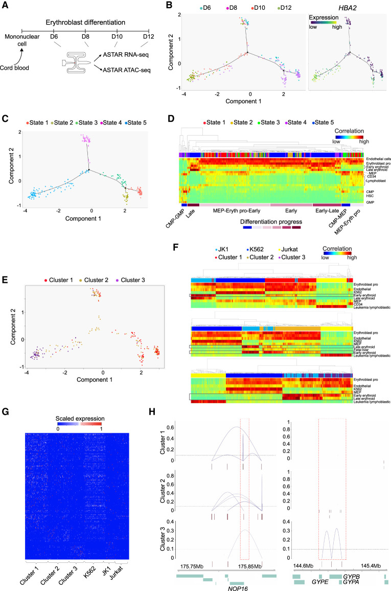 Parallel bimodal single-cell sequencing of transcriptome and chromatin accessibility - PMC
